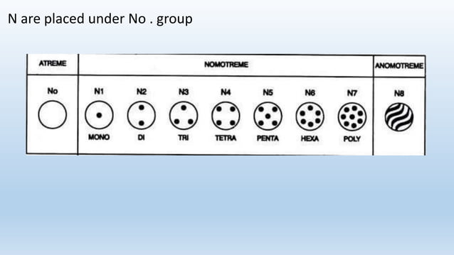 NPC classification/ systemm , Bsc. botany | PPTX