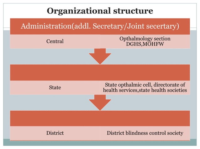 NATIONAL PROGRAMME FOR CONTROL OF BLINDNESS | PPTX | Eye and Vision ...