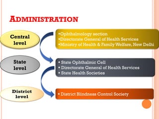National Programme For Control of Blindness | PDF
