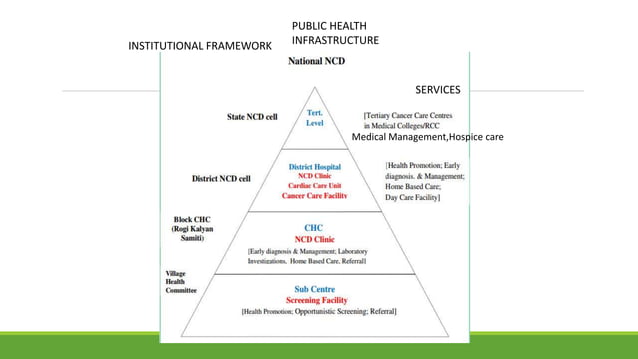 National Program For Prevention And Control Of Cancer Diabetes Cvd