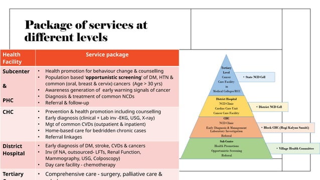 National program for prevention of NCD.pptx