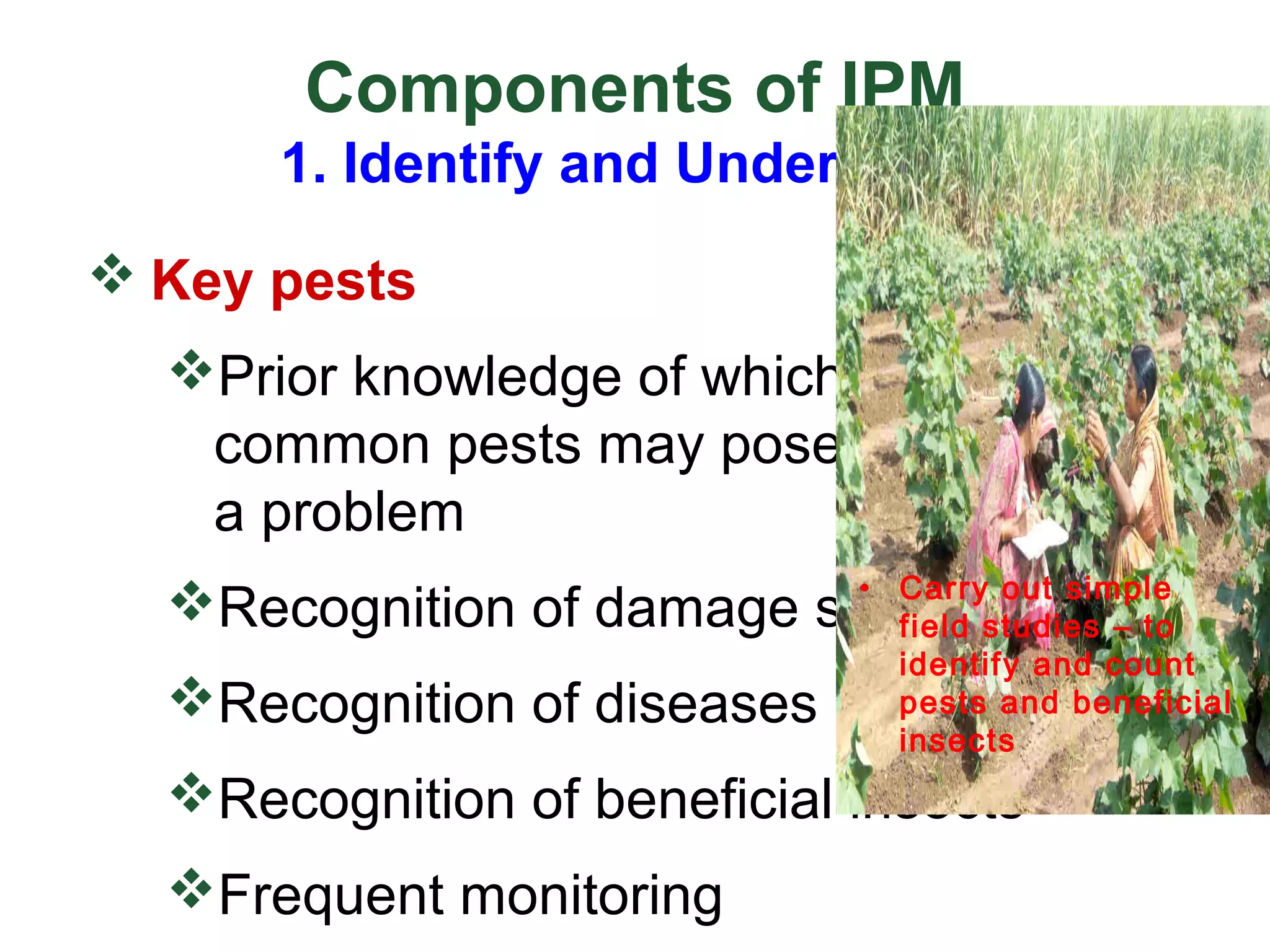 pest_management | PPT