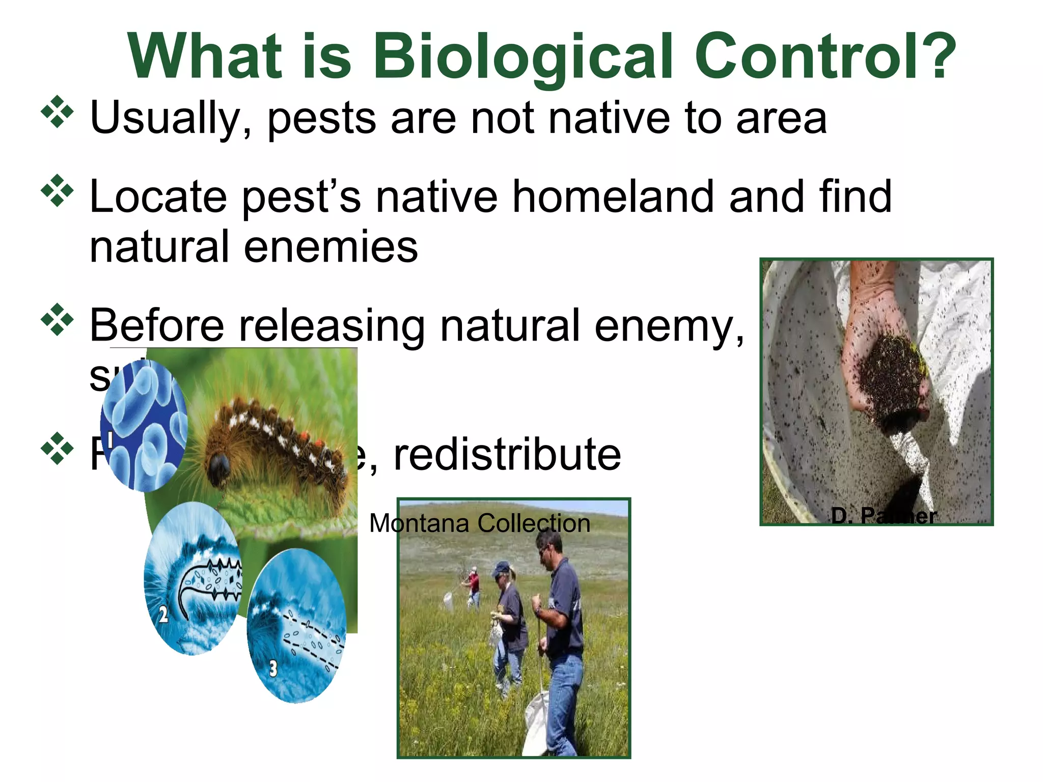 pest_management | PPT