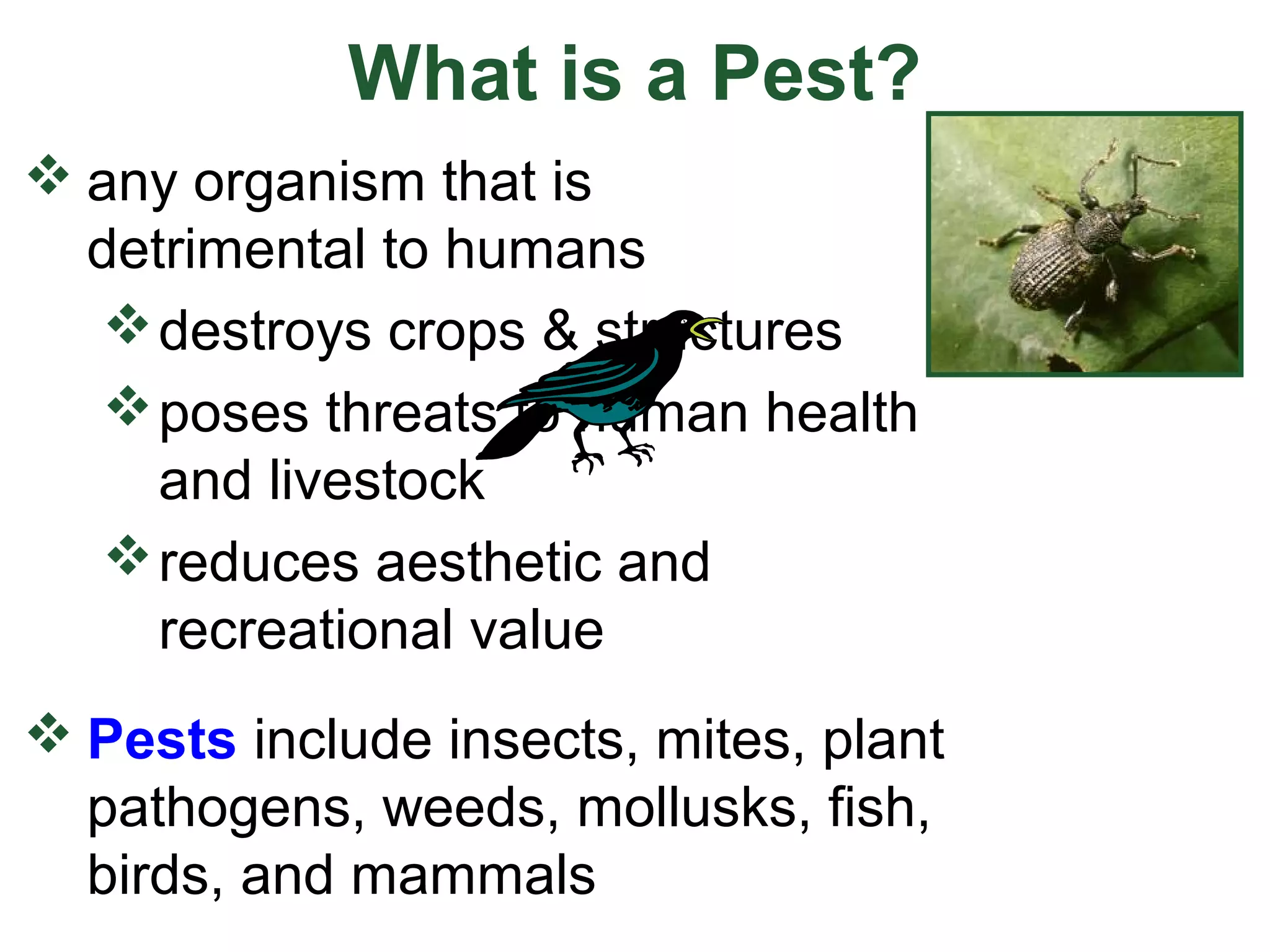 pest_management | PPT