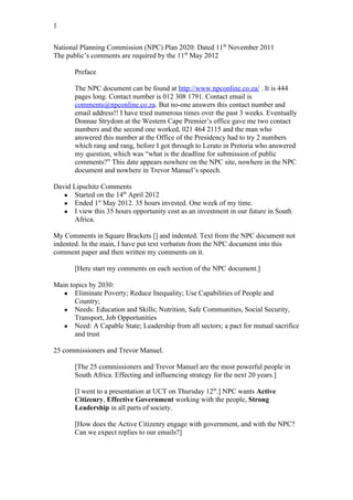NDP NPC Plan 2030 David Lipschitz Comments | DOCX