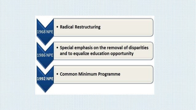 Npe for students with disabilities (simran bahl 2018.b.ed.062) | PPTX