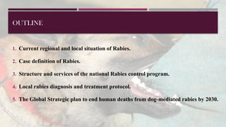 Egyptian national health program for Rabies.pptx