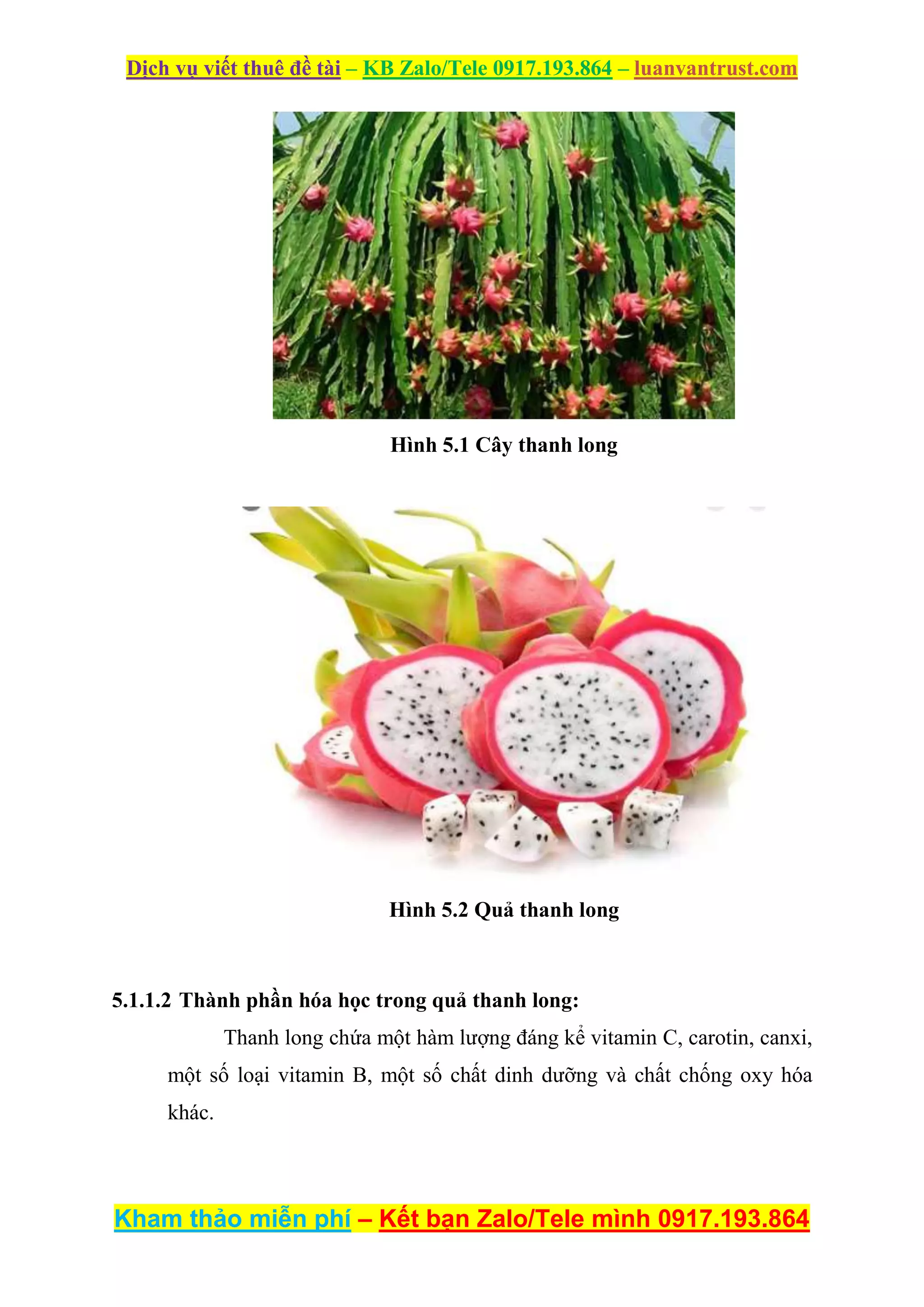 ĐỒ ÁN PHÁT TRIỂN SẢN PHẨM SỮA CHUA UỐNG THANH LONG.docx