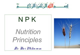 Npk.ppt 1 | PPT