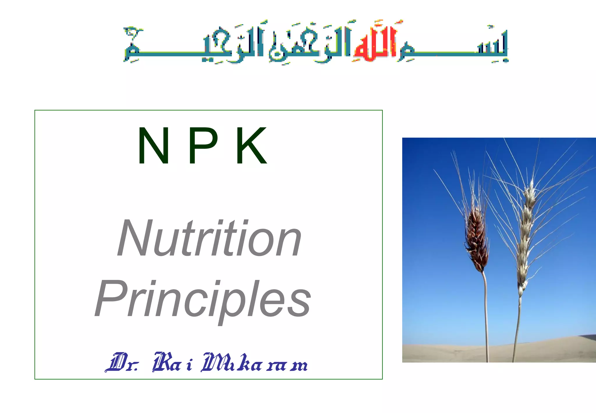 N P K Nutrition Principles | PPT