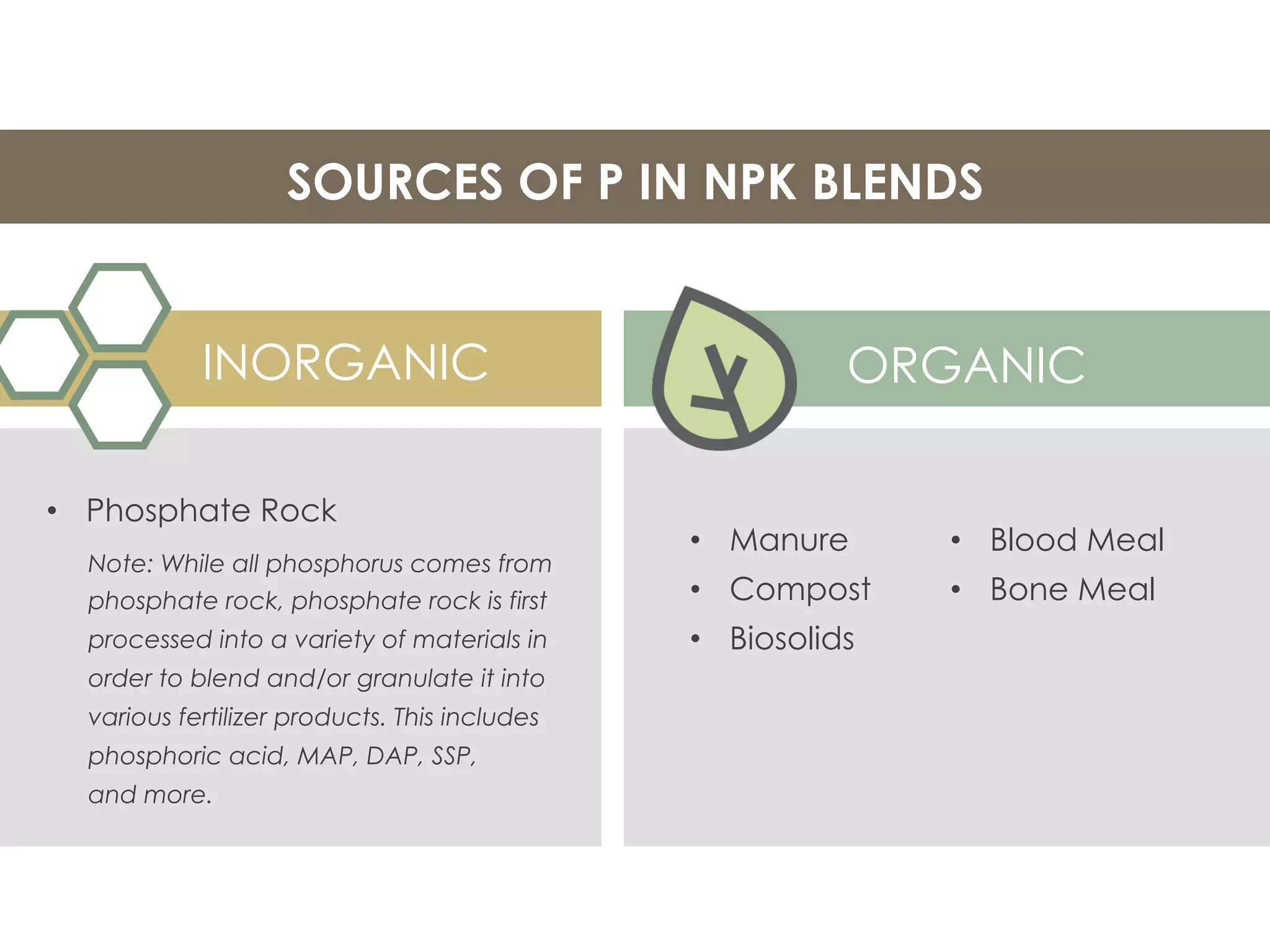 NPK Fertilizer: What is it and How Does it Work | PDF