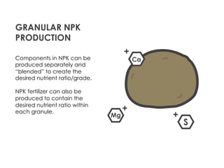 NPK Fertilizer: What is it and How Does it Work | PDF