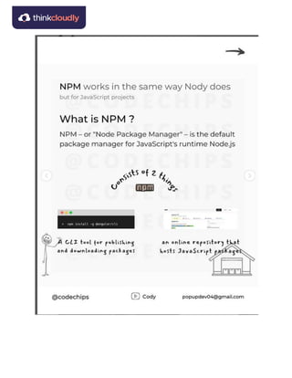 What is NPM? | PDF