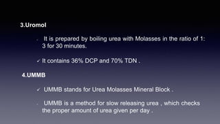 Non Protein Nutrogen Utilization in Ruminant | PPTX