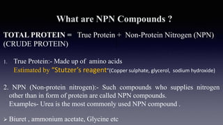Non Protein Nutrogen Utilization in Ruminant | PPTX