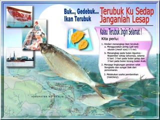 National Plan of Action (NPOA) Ikan Terubuk | PPT