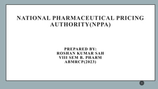 what is NPPA? writes its bodies and the function. | PPTX ...