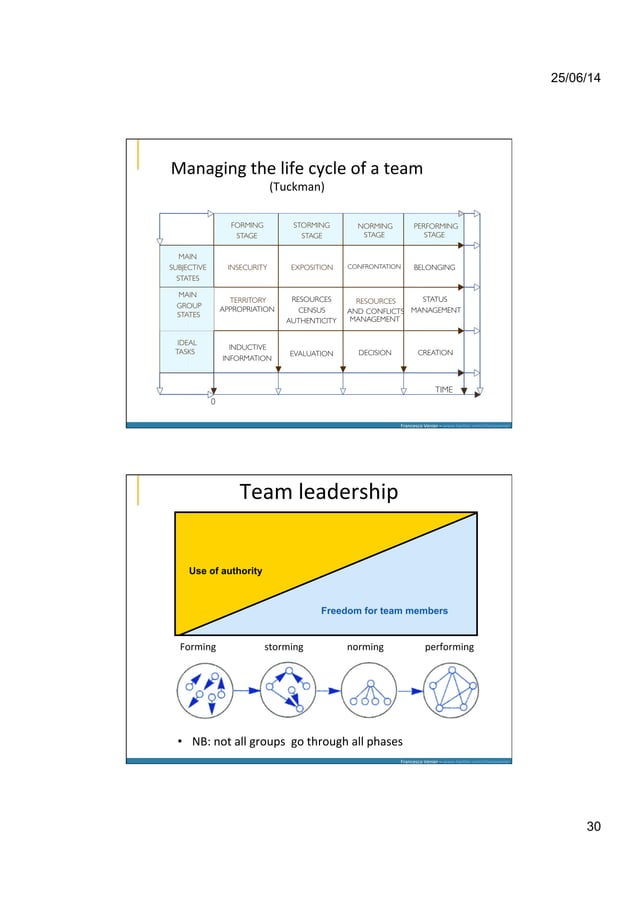 Management of (Research) Teams - leadership and decision making | PDF