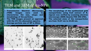 Nano particles from ribes nigrum | PPT
