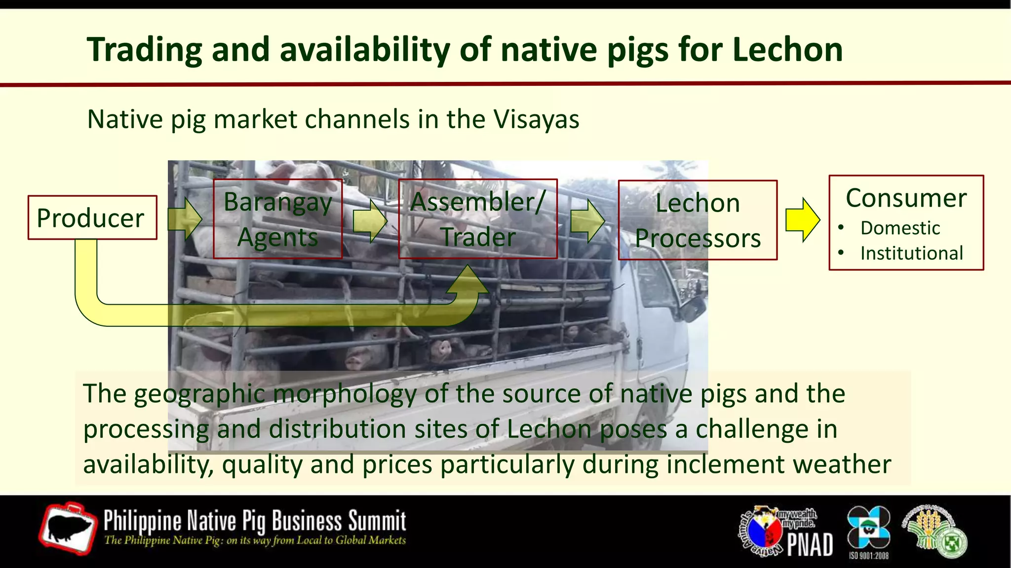 Native Pig Trading and Lechon Processing and Marketing in Cebu | PPTX