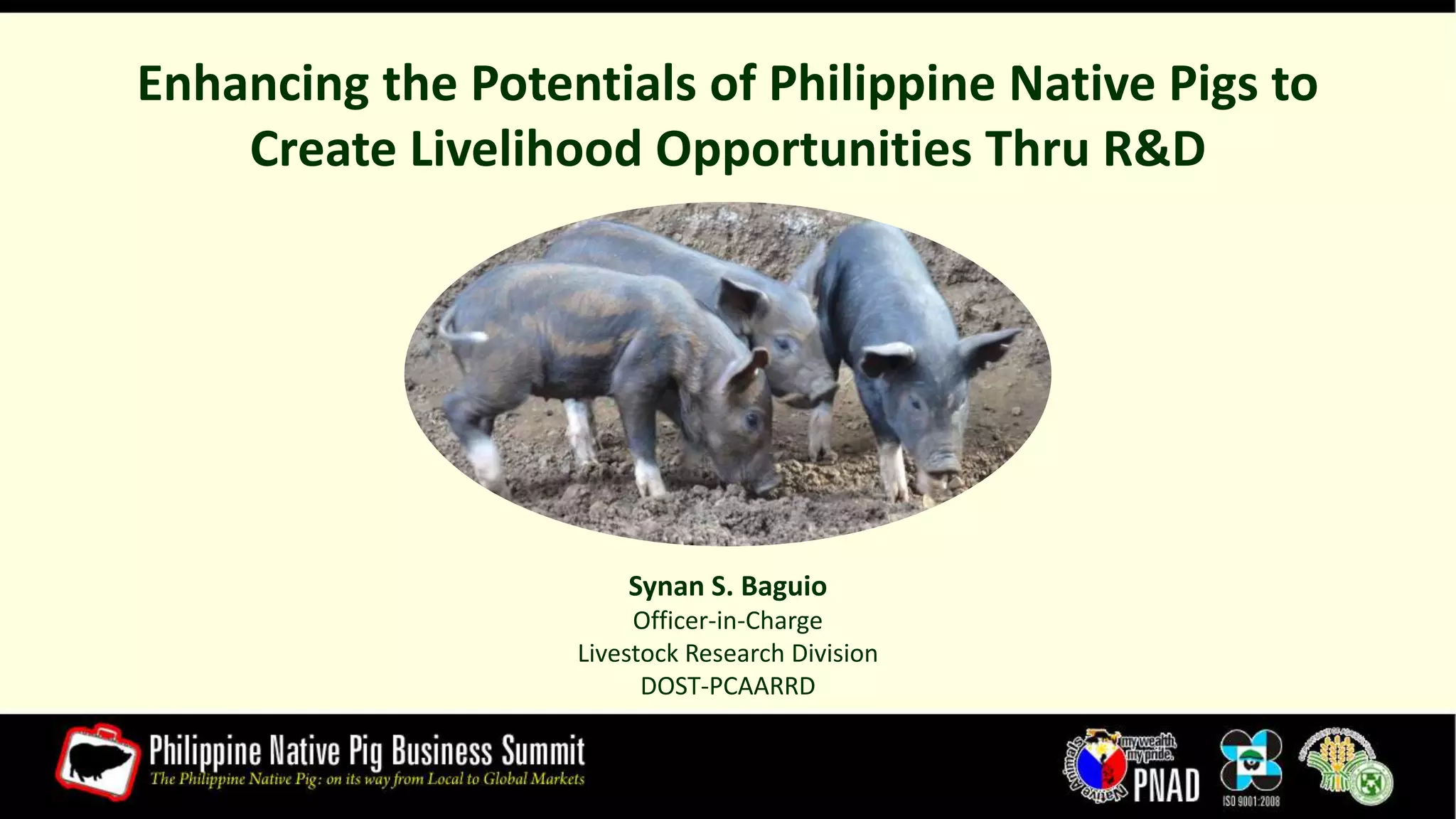 R&D initiatives on Philippine Native Pigs | PPTX