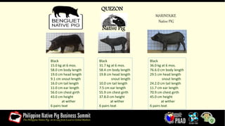 R&D initiatives on Philippine Native Pigs | PPTX