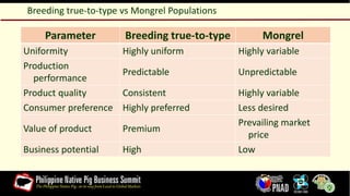 R&D initiatives on Philippine Native Pigs | PPTX