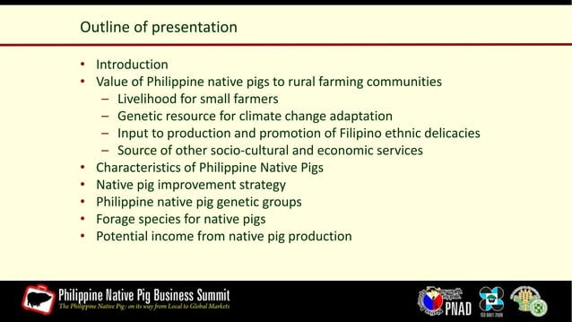 R&D initiatives on Philippine Native Pigs | PPTX | Agriculture | Industries