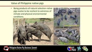 R&D initiatives on Philippine Native Pigs | PPTX