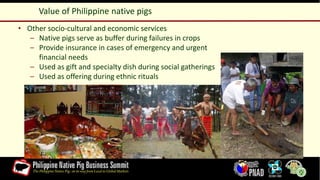 R&D initiatives on Philippine Native Pigs | PPTX