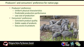 R&D initiatives on Philippine Native Pigs | PPTX