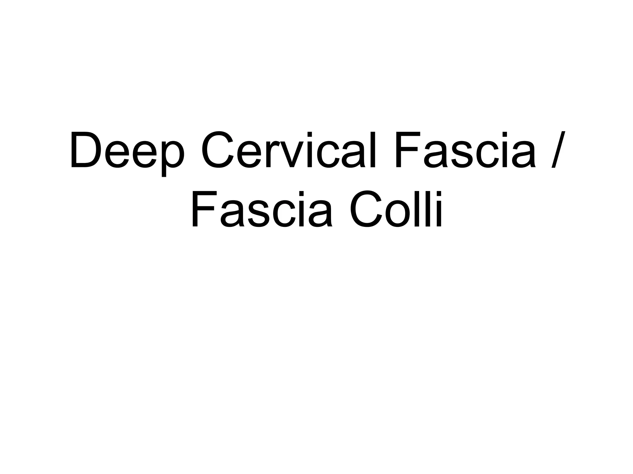 Deep cervical fascia | PPTX