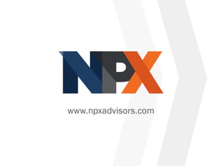 NPX Overview | PDF