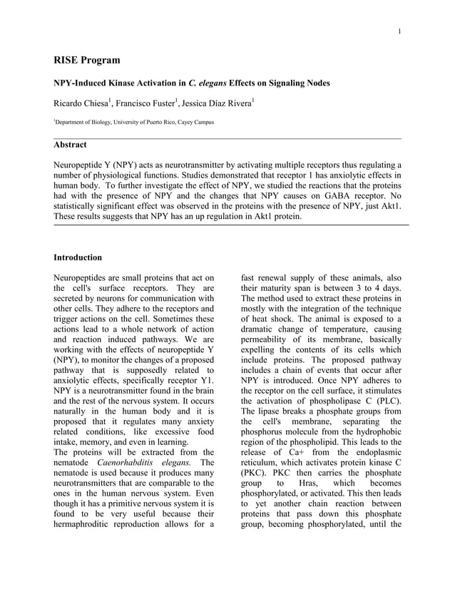 Npy final paper | PDF