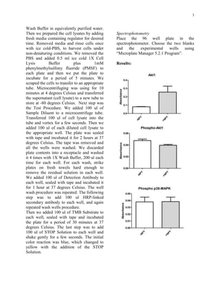Npy final paper | PDF