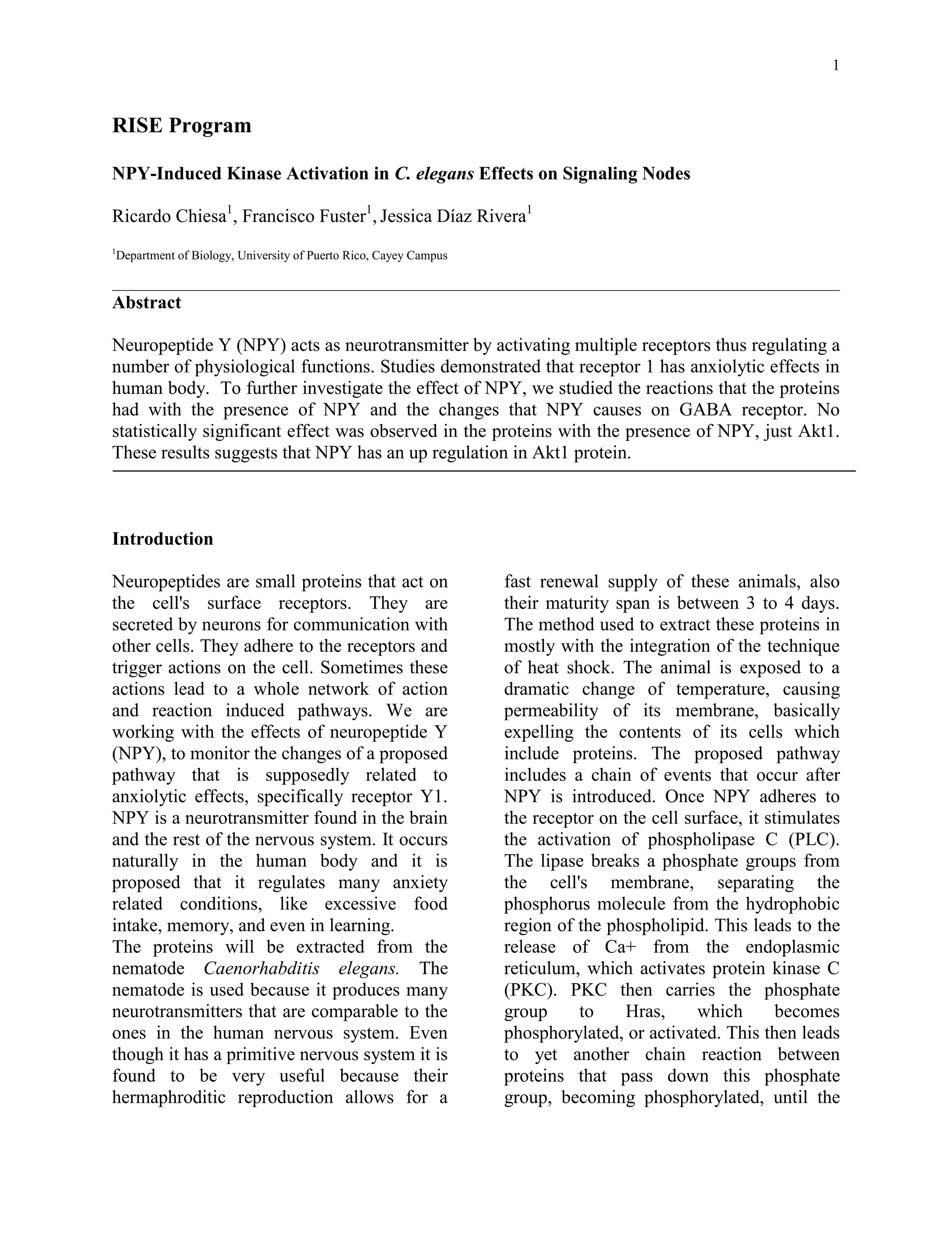 Npy final paper | PDF
