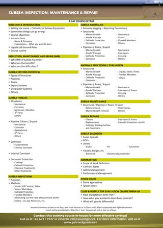 PD213 Introduction to Subsea Inspection, Maintenance & Repairs | PDF