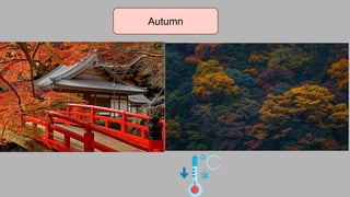 Japan presentation for homework and school tasks..Etc