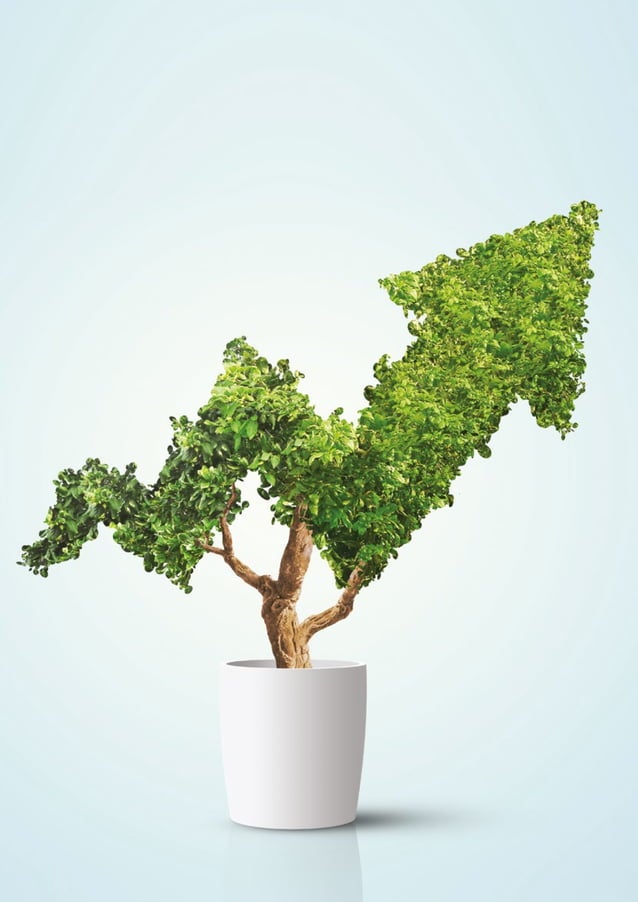 NQA ISO 14001 Implementation Guide | PDF | Environmental Services Industry | Industries