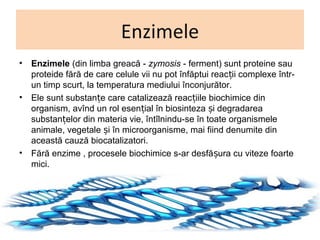 Vitaminemedicamente 111216004527-phpapp01 | PPT