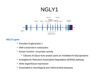 Discovery Over a NGLY1 deficiency Knowledge Graph | PDF
