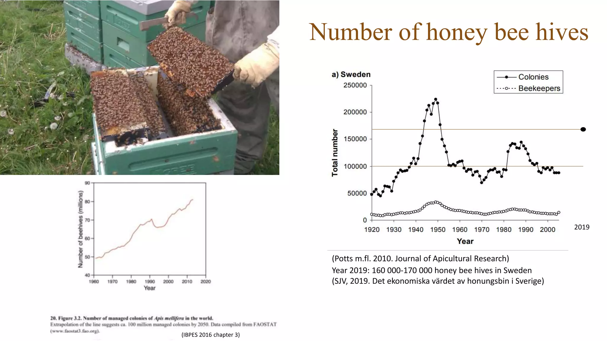 Competition from honey bees on wild bees_Lindström | PPT
