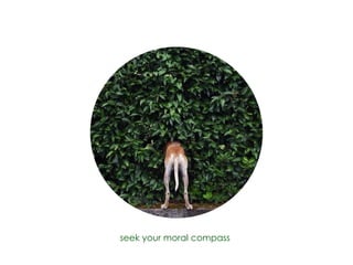 How To Seek Your Moral Compass | PDF