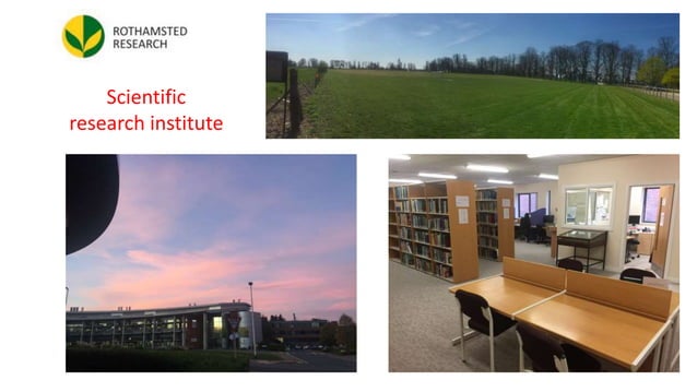 Nral 2018 themed issue launch presentation wales t actual 2018 11-21 | PPT