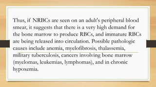 NRBC - Nucleated Red Blood Cells | PPTX
