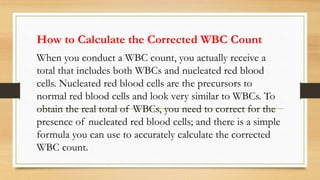 NRBC - Nucleated Red Blood Cells | PPTX