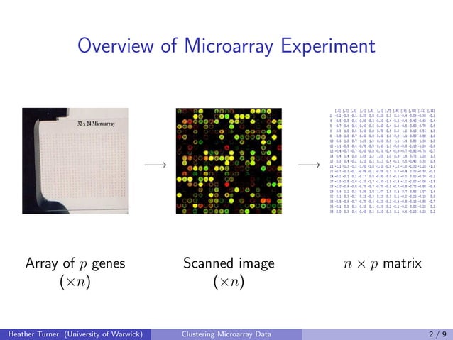 Clustering Microarray Data | PDF | Biological Sciences | Science