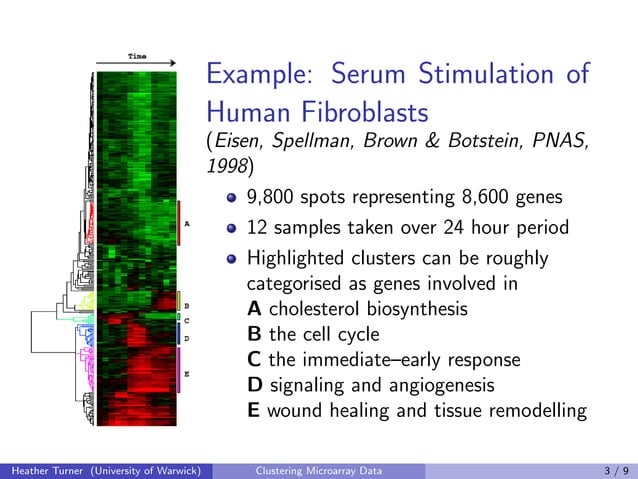 Clustering Microarray Data | PDF | Biological Sciences | Science