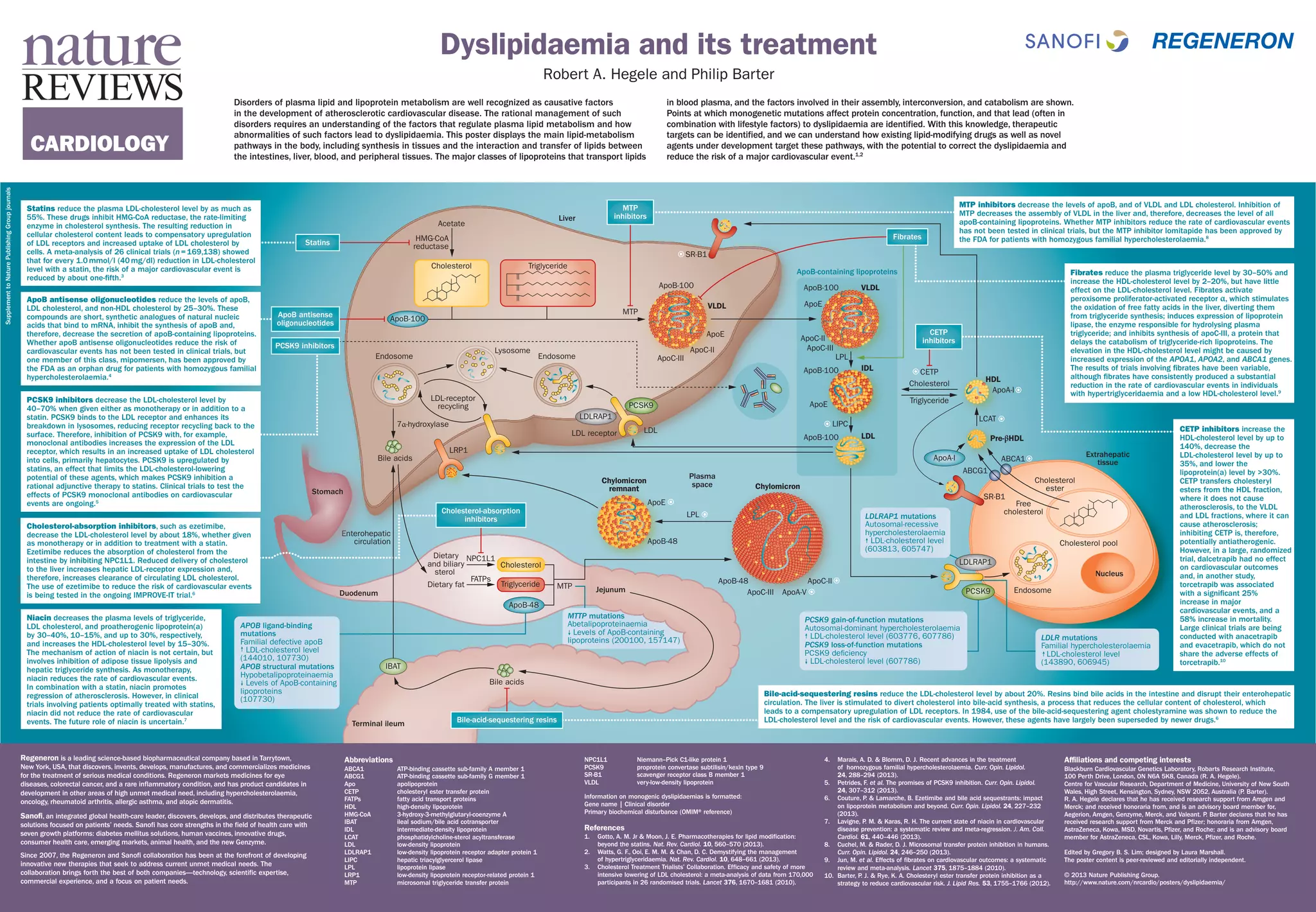 Nrcar interactive dyslipidaemia_poster | PDF