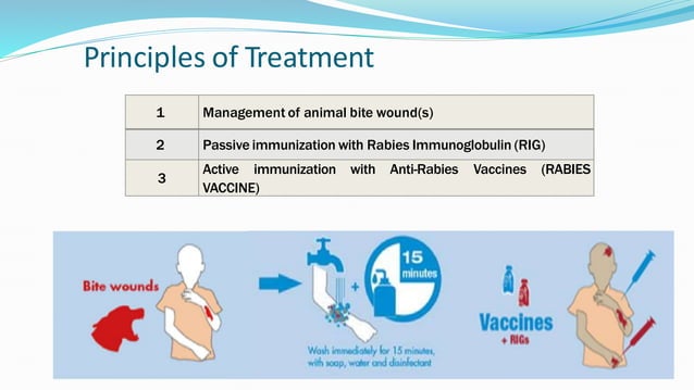 nrcp.pptx | Infectious Diseases | Diseases and Conditions